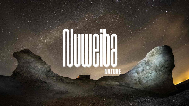 Top Things to Do in Nuweiba: Egypt’s Hidden Gem